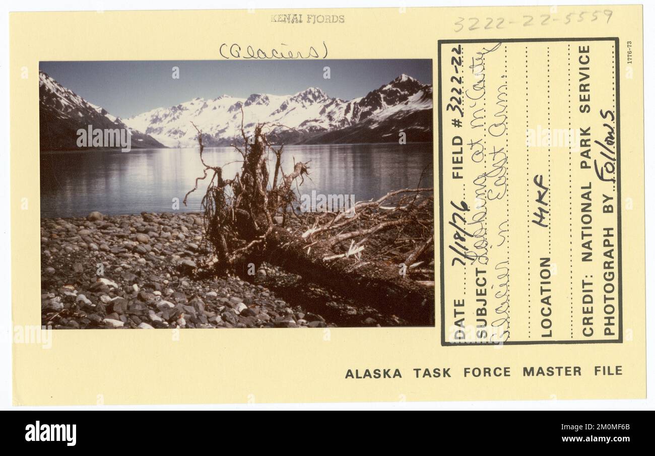 Looking at McCarty Glacier in East Arm. Alaska Task Force Photographs ...