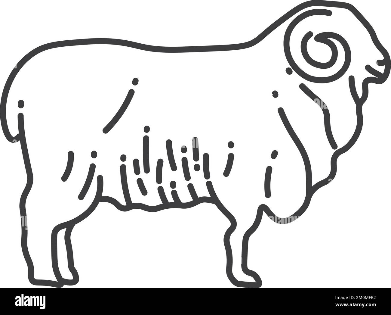 White ram Black and White Stock Photos & Images - Alamy