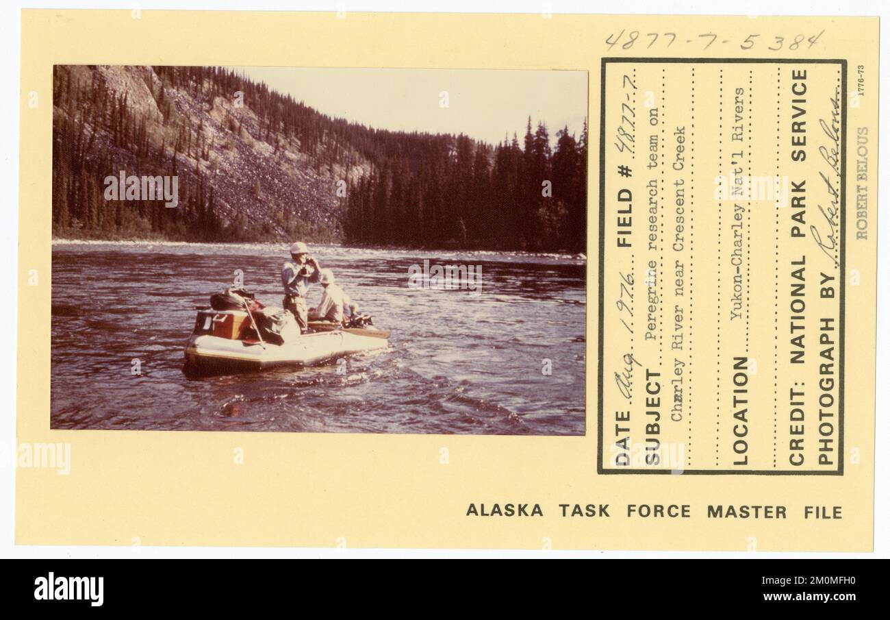 Peregrine research team on Charley River near Crescent Creek. Alaska ...