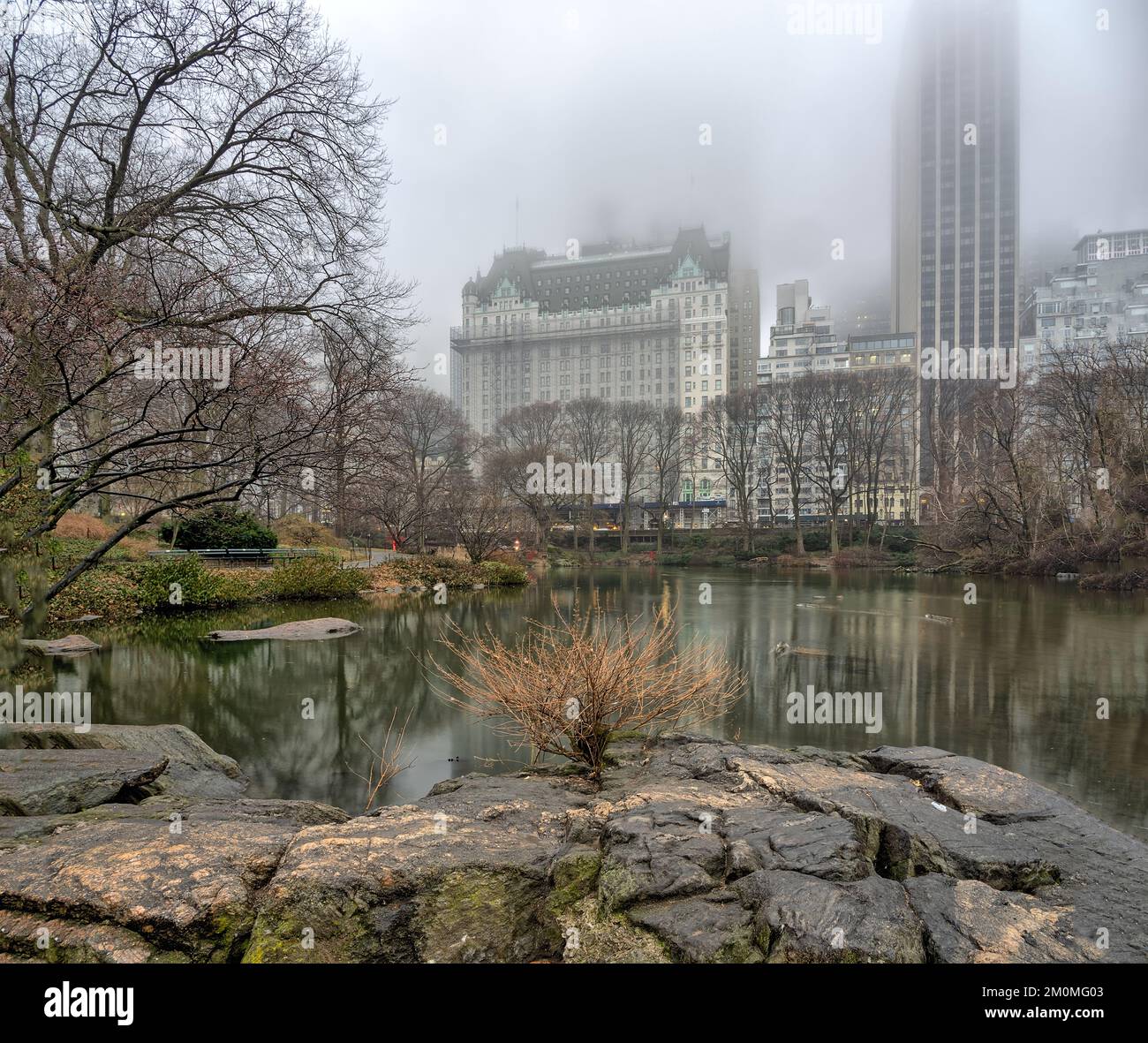 Early Spring in Central Park, New York City Stock Photo - Alamy