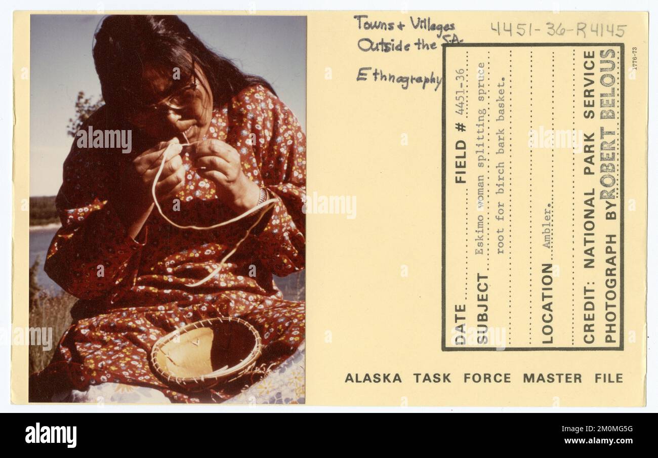 Eskimo woman splitting spruce root for birch bark basket. Alaska Task ...