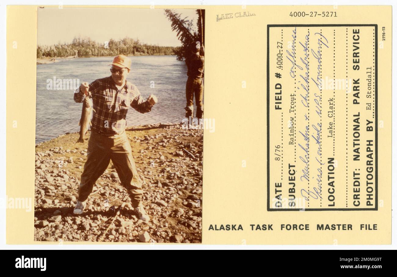 Rainbow trout confluence of Mulchatna & Chilikadrotna Rivers (outside ...