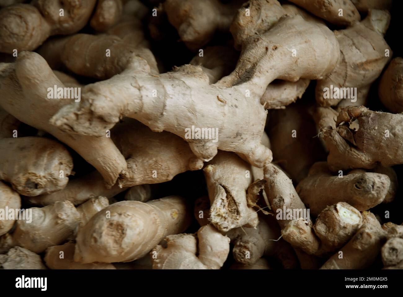 Copenhagen/Denmark/06 December 2022/Ginger vegetable of sale at vege ...