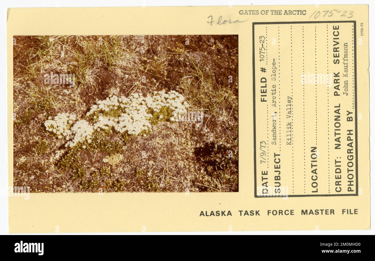 Sandwork, Arctic Slope - Killik Valley. Alaska Task Force Photographs ...