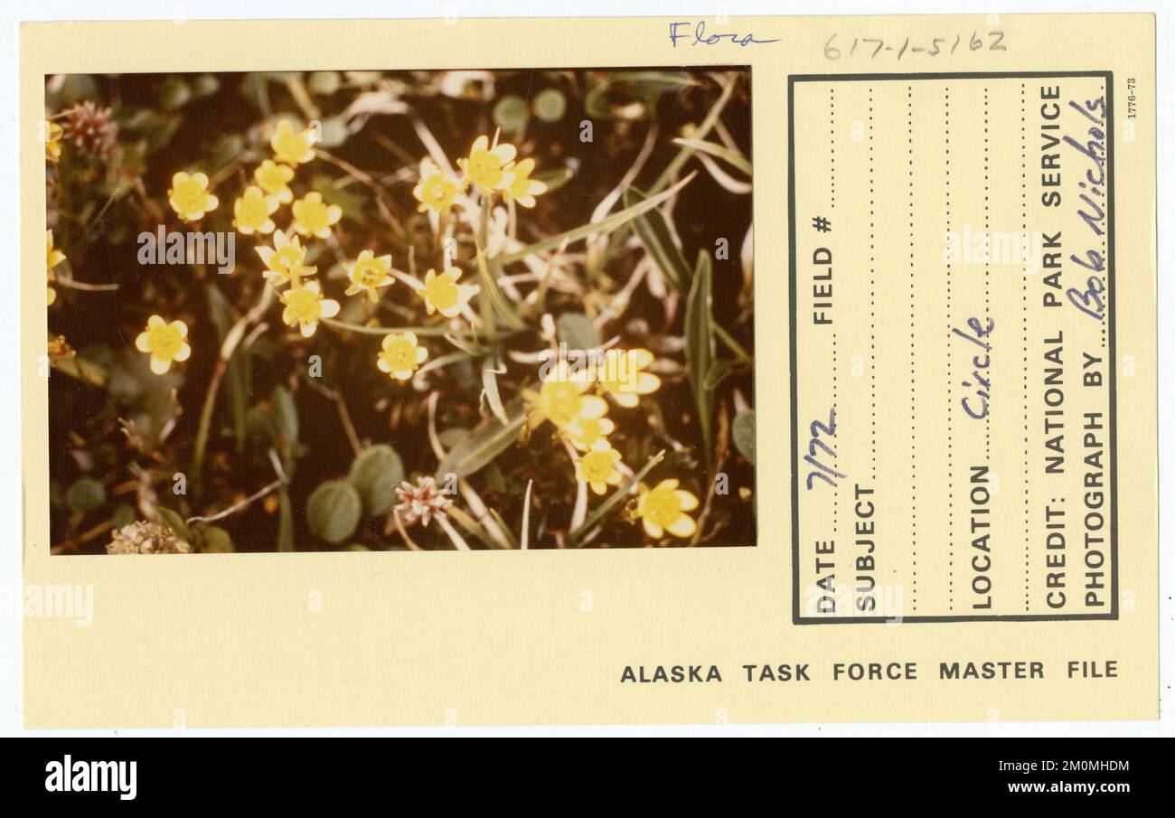 Local circle Cut Out Stock Images & Pictures - Alamy