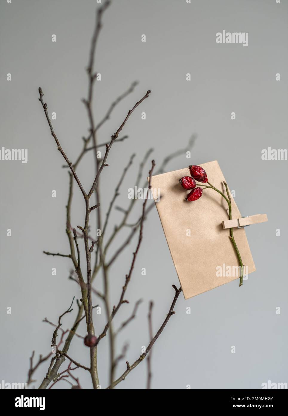 Craft paper handmade Envelope hangs on a tree branch at home. Christmas ...
