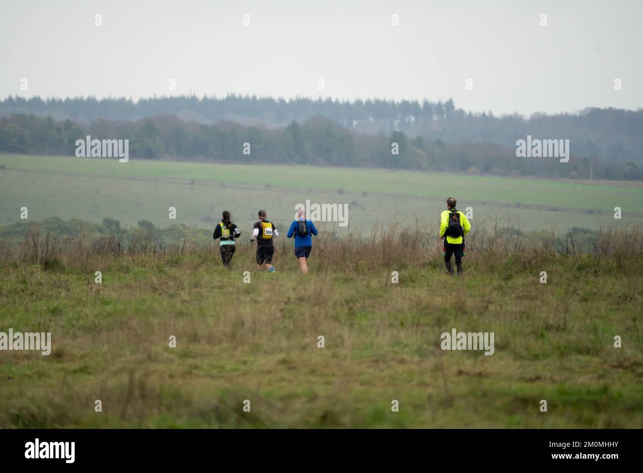 group of cross country runners crossing grass meadows in open ...