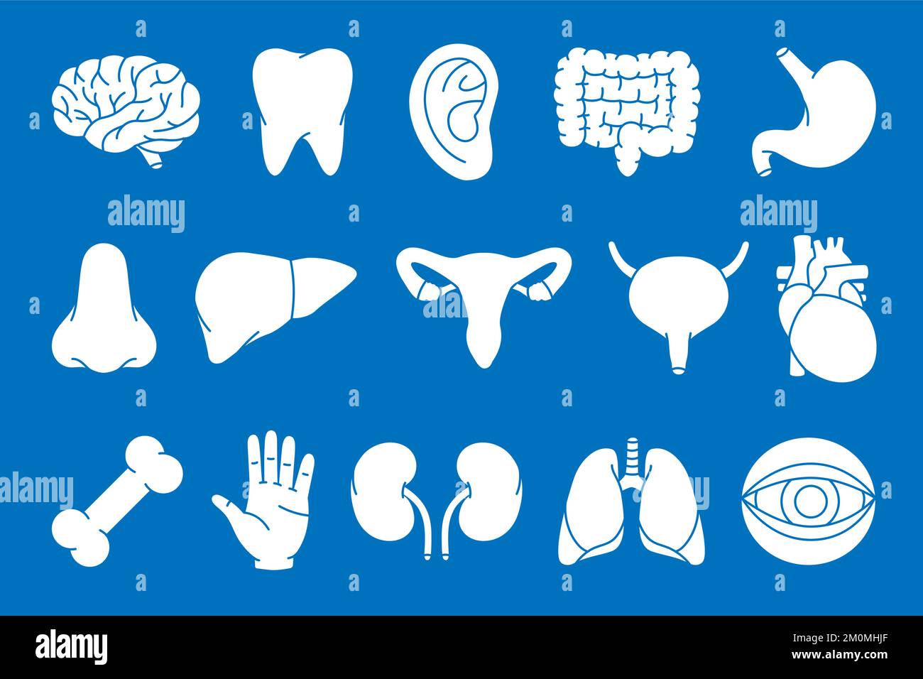 Set of human organs symbol. Brain, tooth, ear, intestines, stomach ...