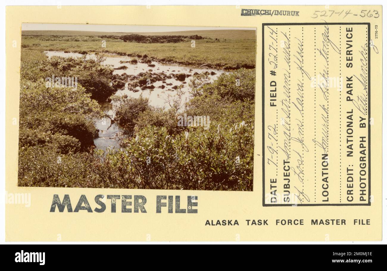 Small stream west of Lost Jim Lava Flow. Alaska Task Force Photographs ...