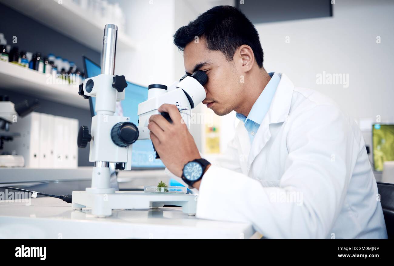 Microbiology, research and scientist with microscope for bacteria in a lab, studying particles ...