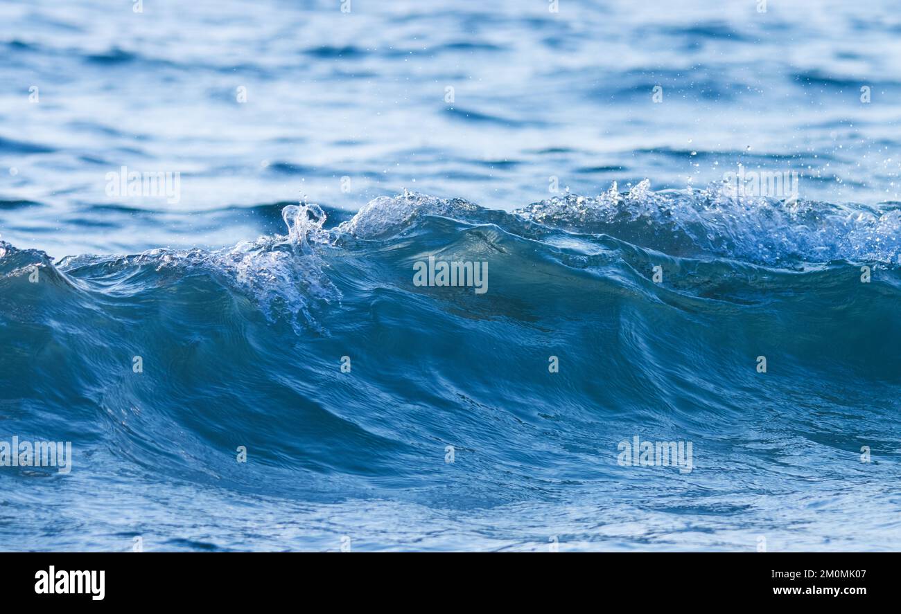 Closeup foamy hi-res stock photography and images - Alamy