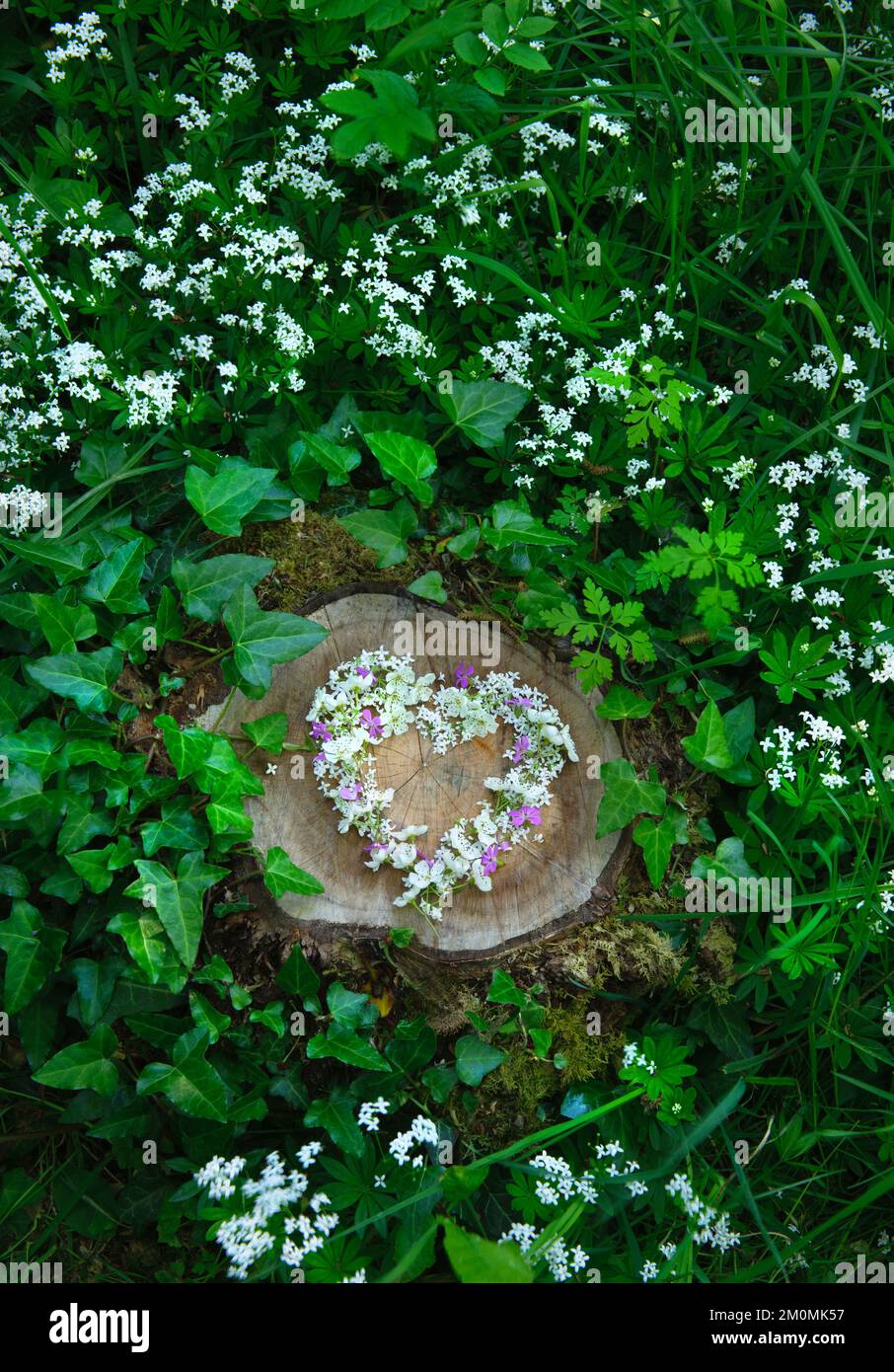 Robert woodruff hi-res stock photography and images - Alamy