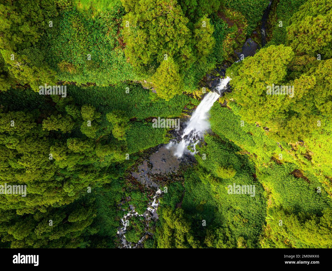 Cascata do Grena, a waterfall located in Grena park on San Miguel ...