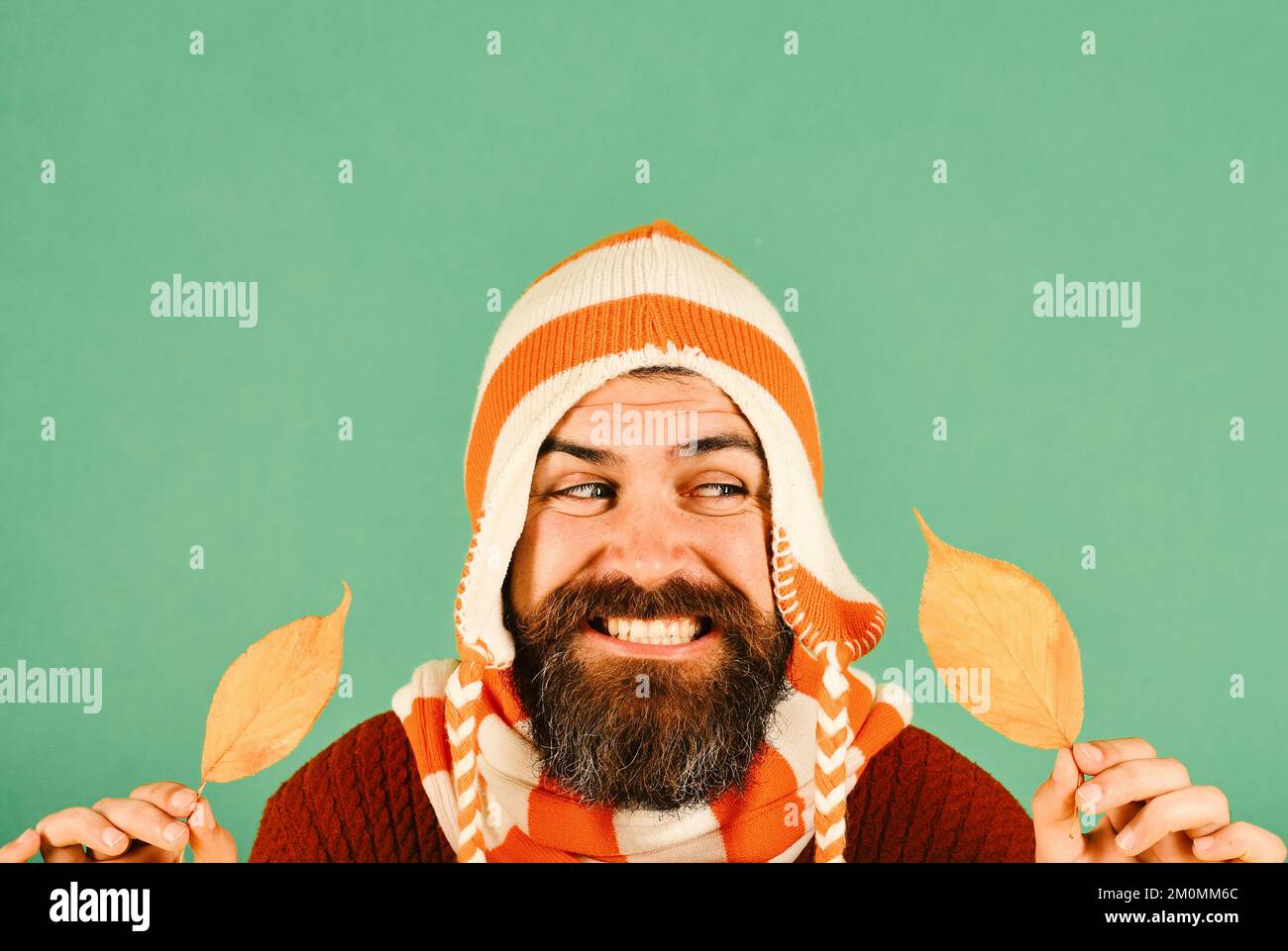 Man with beard holds yellow cherry tree leaves Stock Photo - Alamy