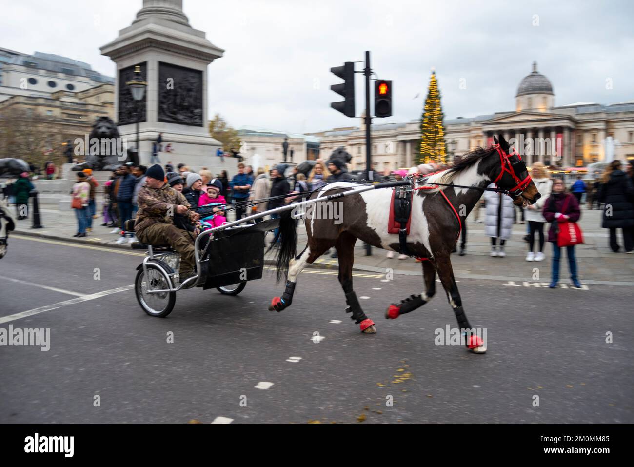 Event titled the London Christmas Horse Drive of Gypsies, Travellers ...