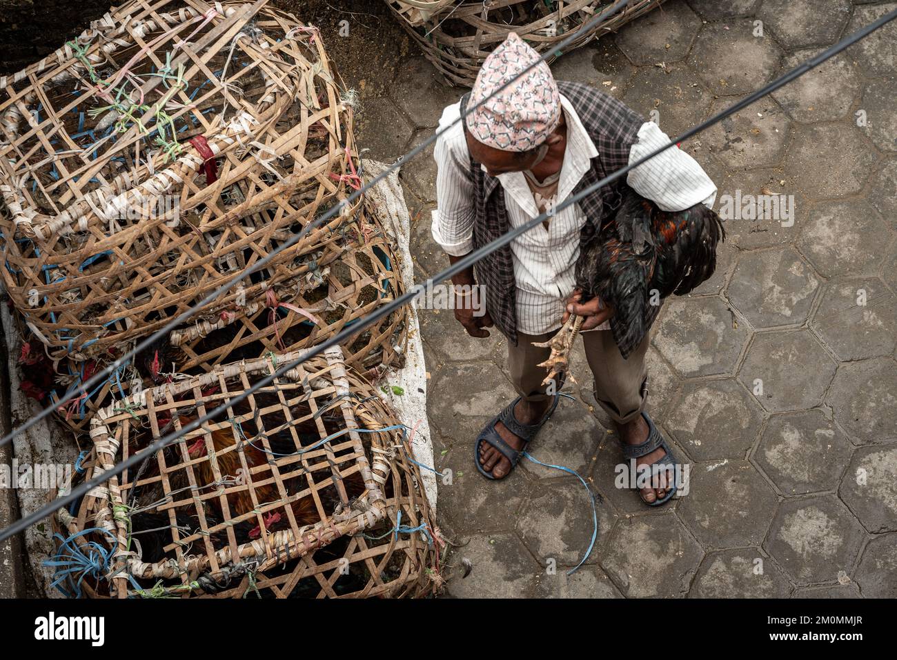 Man selling chickens, Kathmandu, Nepal Stock Photo - Alamy