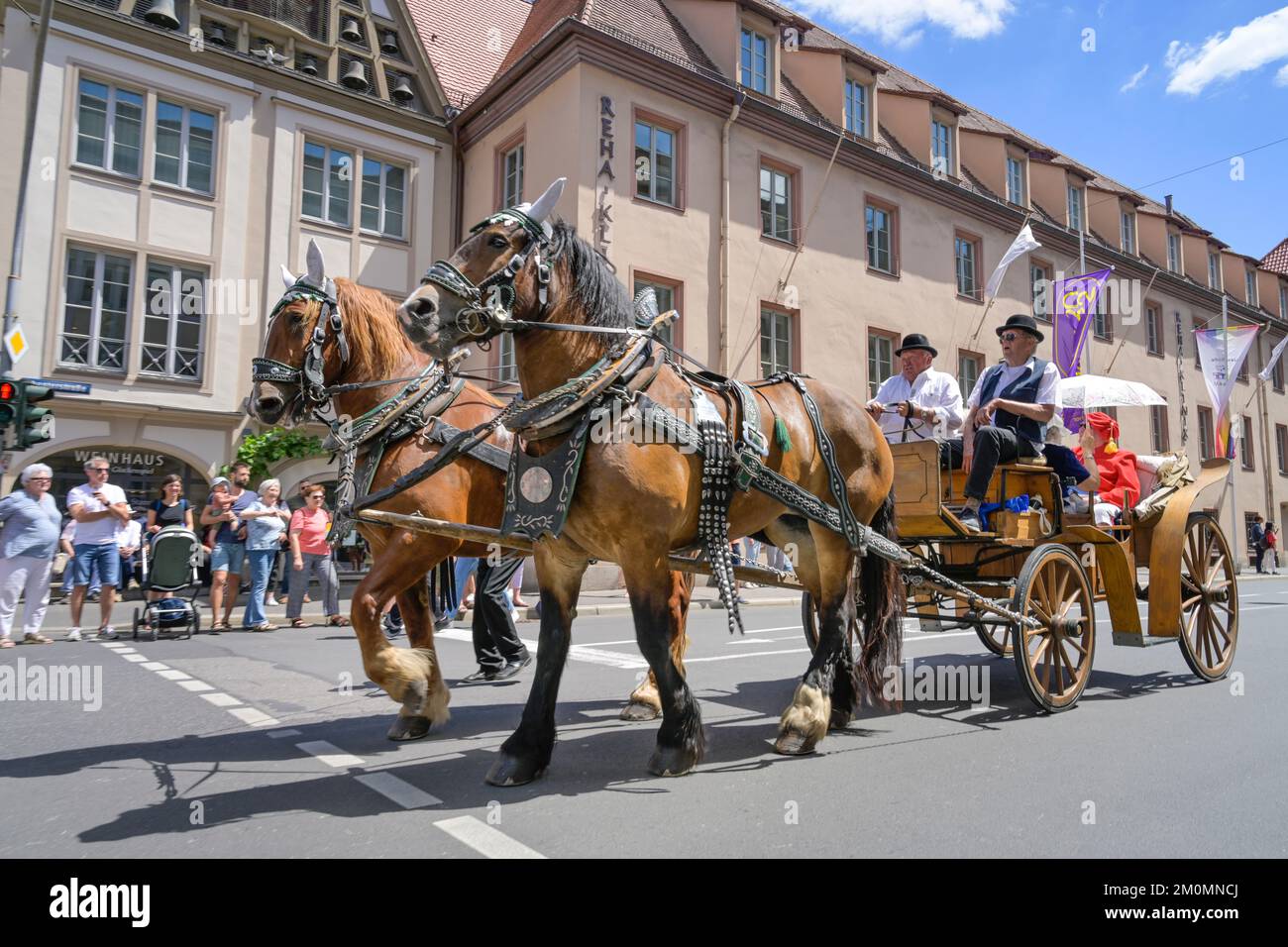 Pferdekutsche, Kaltblüter, Umzug Kiliani Volksfest, Theaterstraße ...