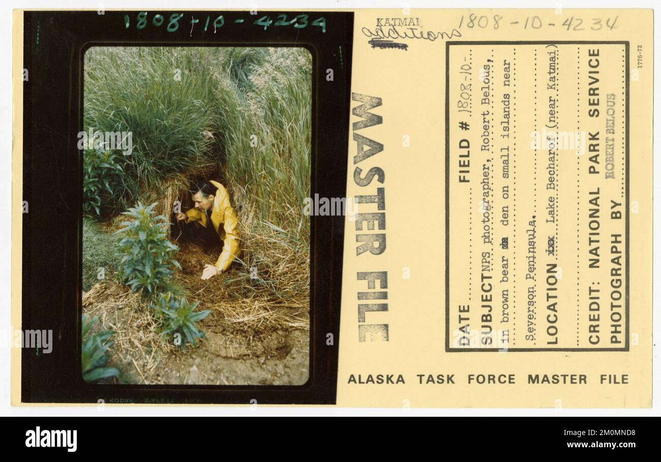 NPS photographer Robert Belous in brown bear den on small islands near ...