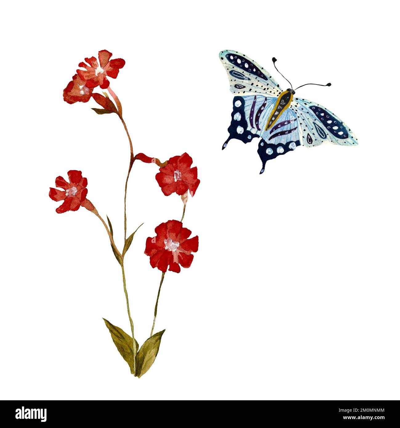 Flower red butterfly blue sketch a watercolor Stock Photo - Alamy