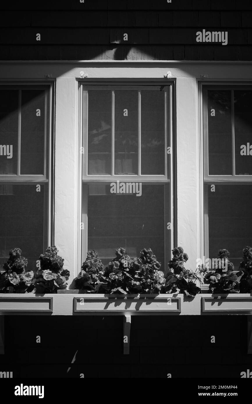 Traditional wooden cottage window on the wall of a house with flowers ...