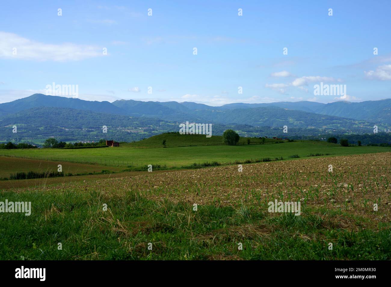 Road near Villiago and Sedico, in Belluno province, Veneto, Italy, at ...
