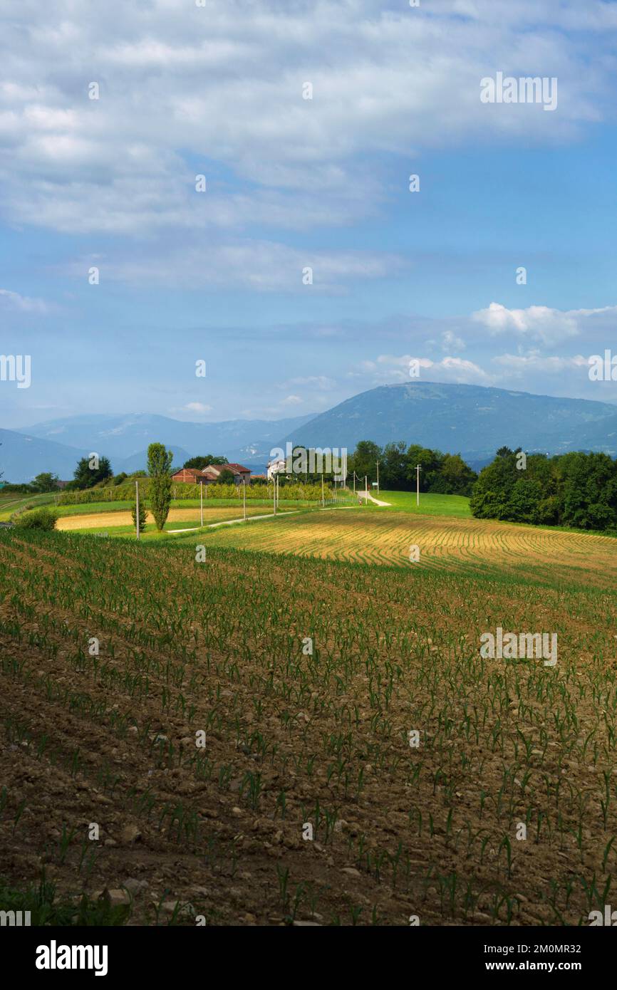 Sedico hi-res stock photography and images - Alamy