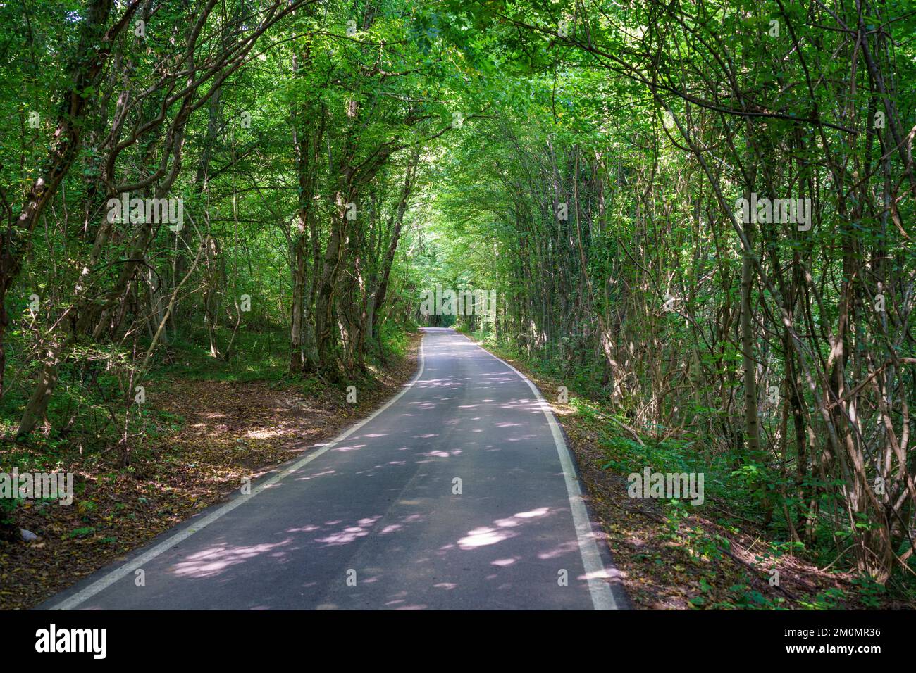 Sedico hi-res stock photography and images - Alamy
