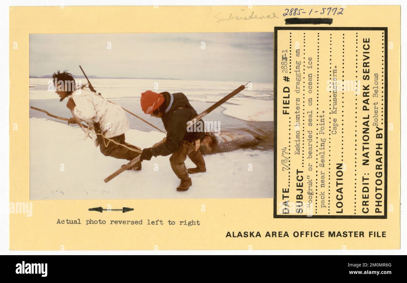Pack hunters Cut Out Stock Images & Pictures - Alamy