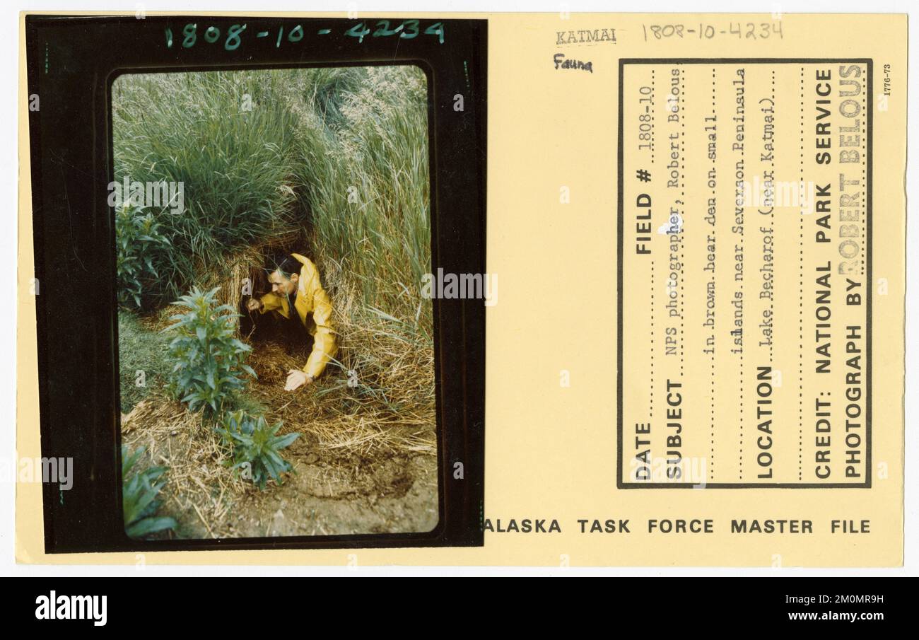 NPS photographer, Robert Belous, in brown bear den on small islands ...