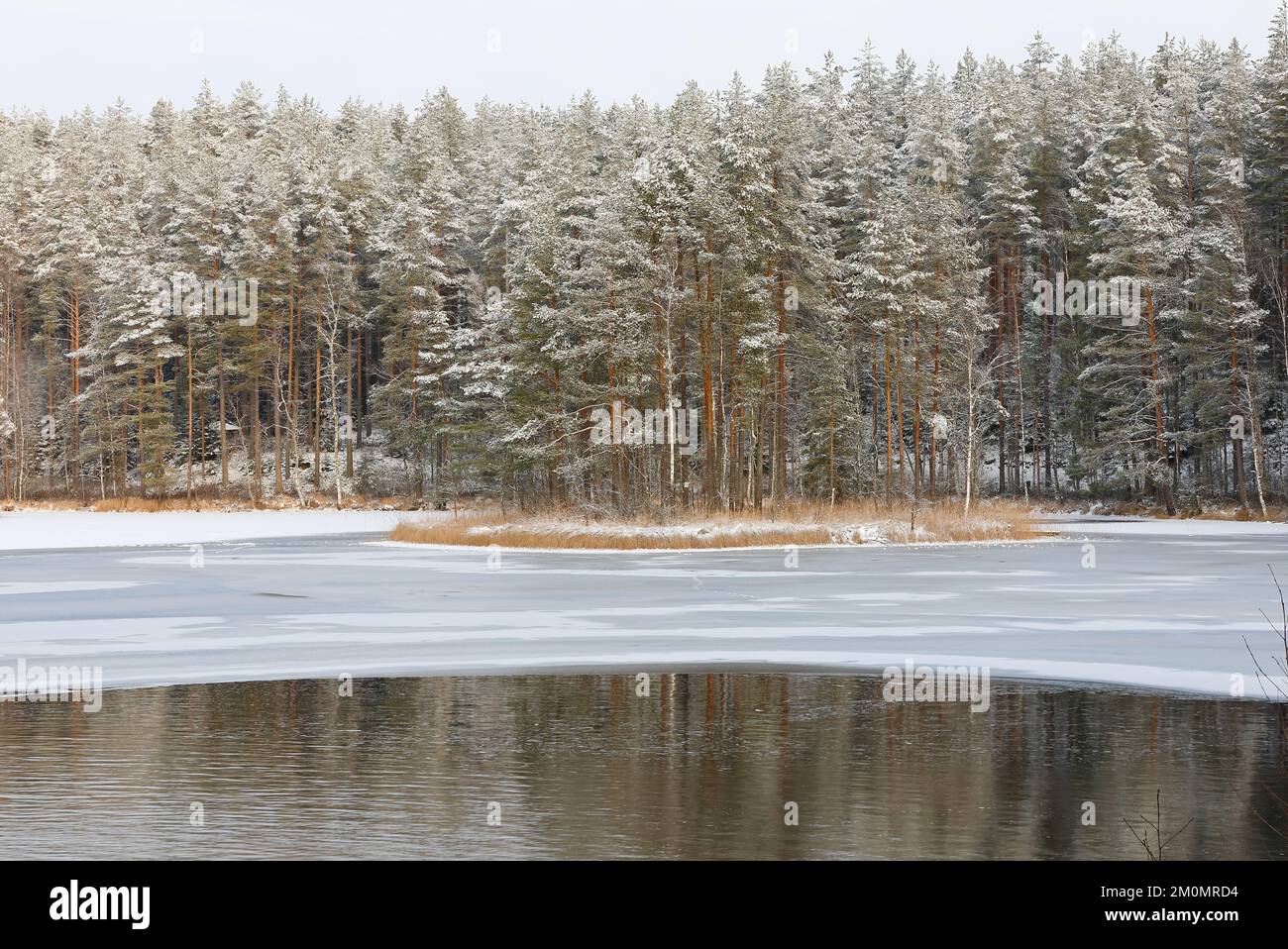 Freezing lake landscape hi-res stock photography and images - Alamy
