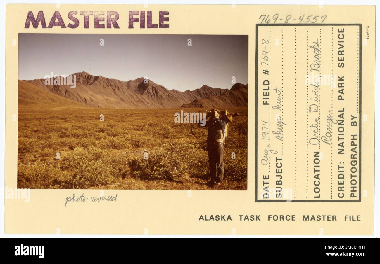 Pursuit hunt Cut Out Stock Images & Pictures - Alamy