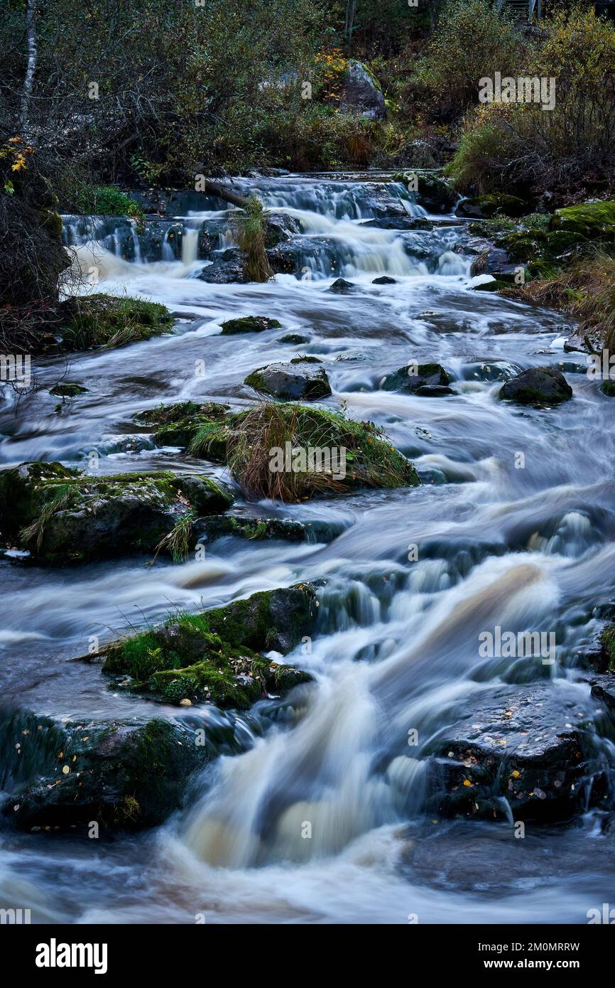 A vertical shot of a streaming rocky river in the woods Stock Photo - Alamy