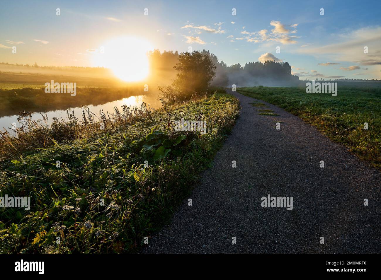 A walking path between fields by a river during a golden hour Stock ...