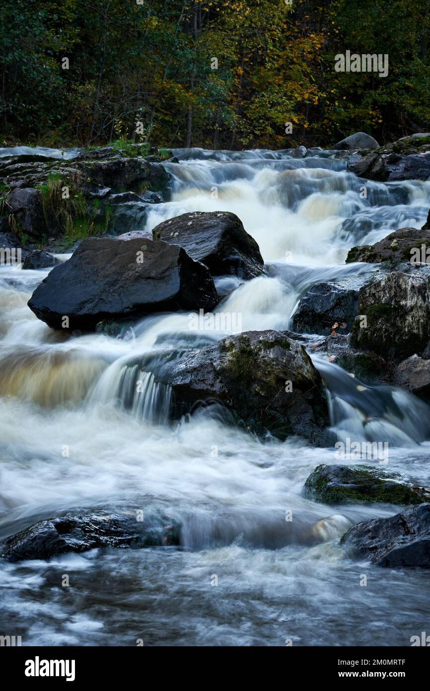 A vertical shot of a streaming rocky river in the woods Stock Photo - Alamy
