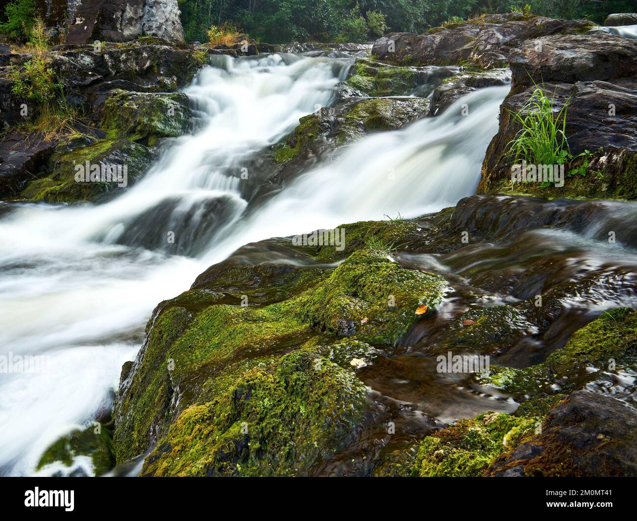 A streamy foamy river flowing on massive mossy rocks Stock Photo - Alamy