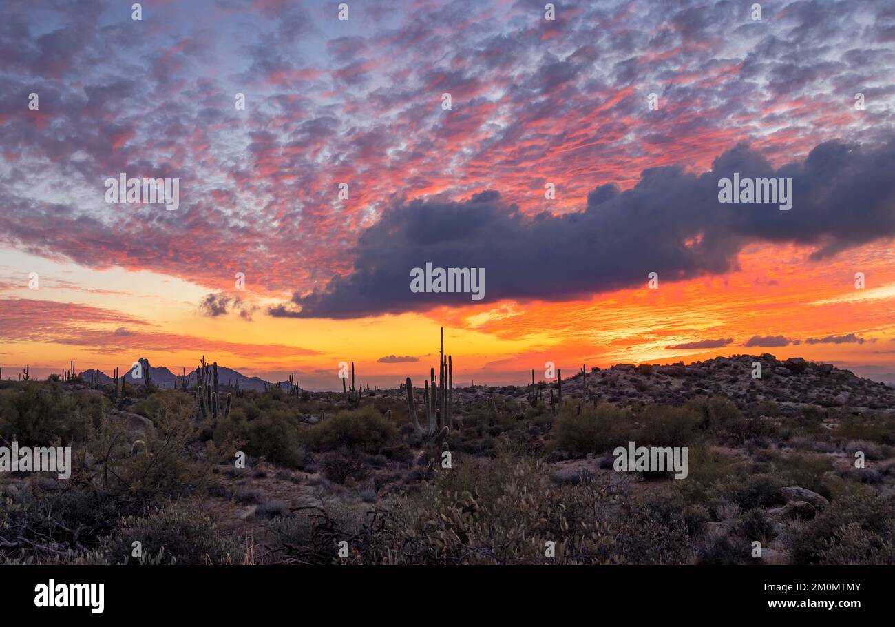 Arizona Desert Sunset Skies & Landscape In Scottsdale AZ Stock Photo ...