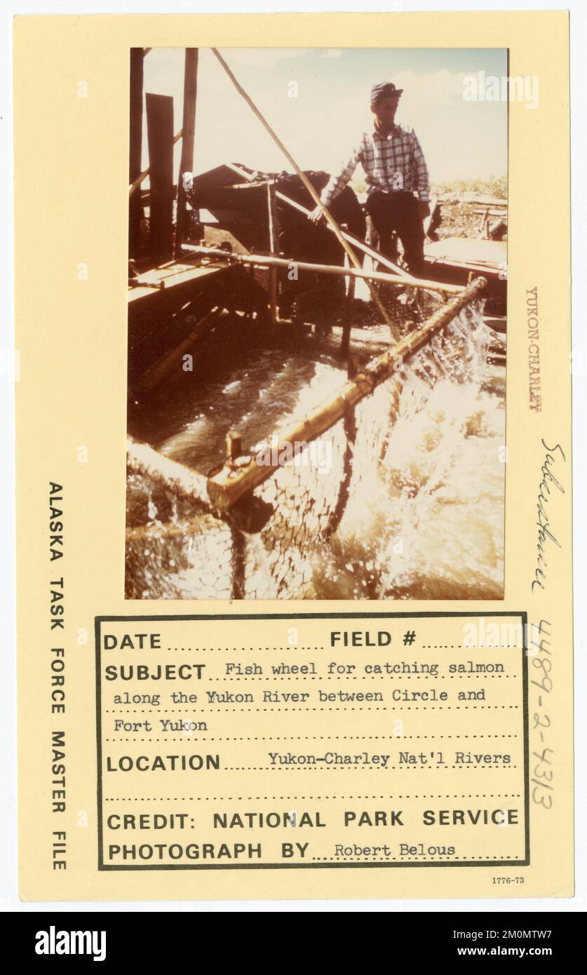 Fish wheel for catching salmon along the Yukon River between Circle and ...