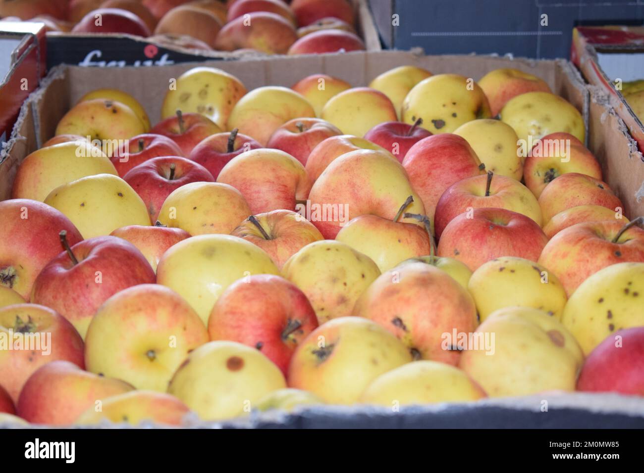 Yellow apple red spots hi-res stock photography and images - Alamy
