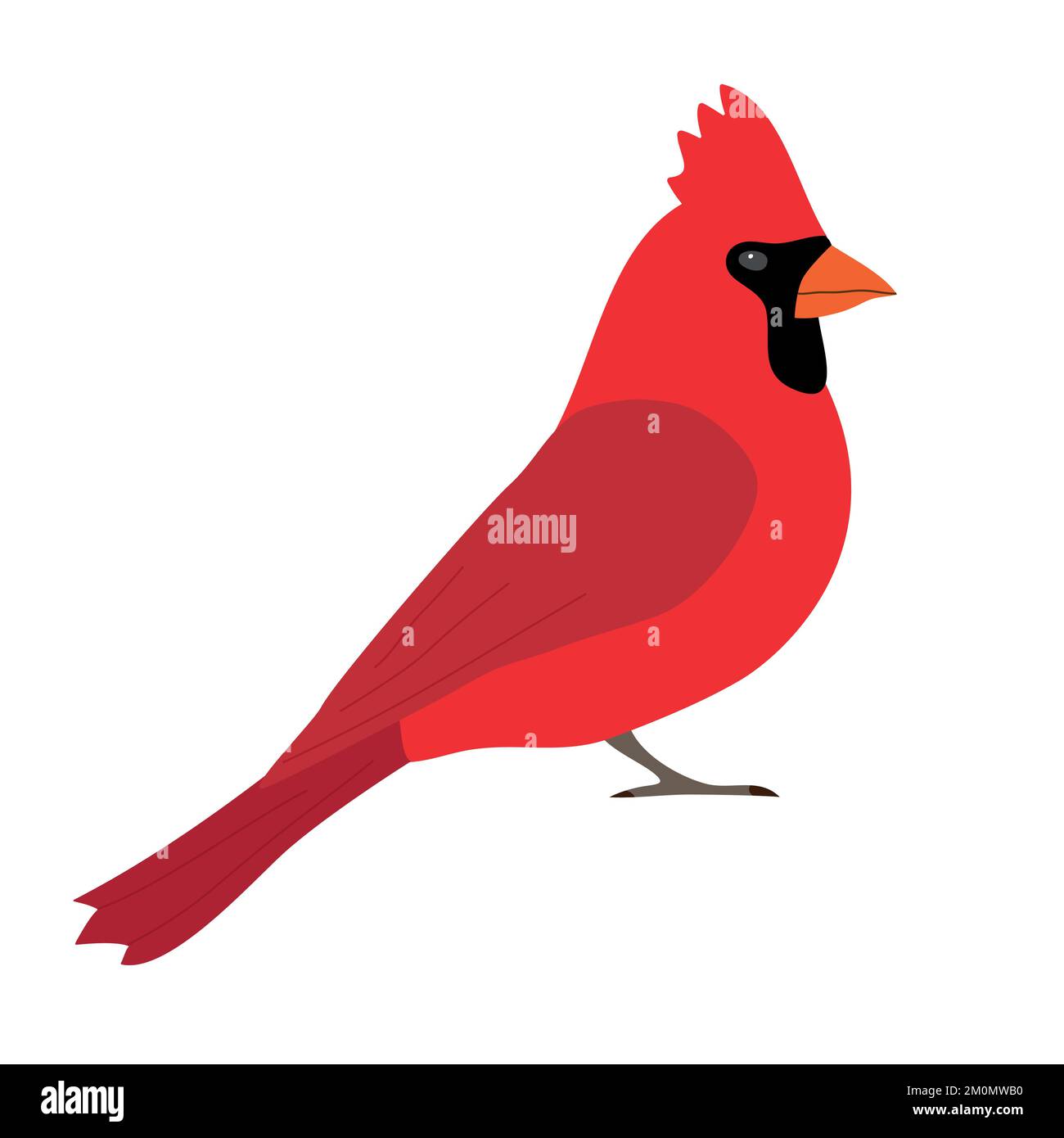 Vector flat hand drawn red cardinal bird isolated on white background ...