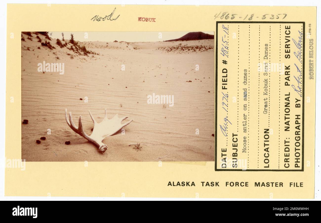 Sand habitats Cut Out Stock Images & Pictures - Alamy