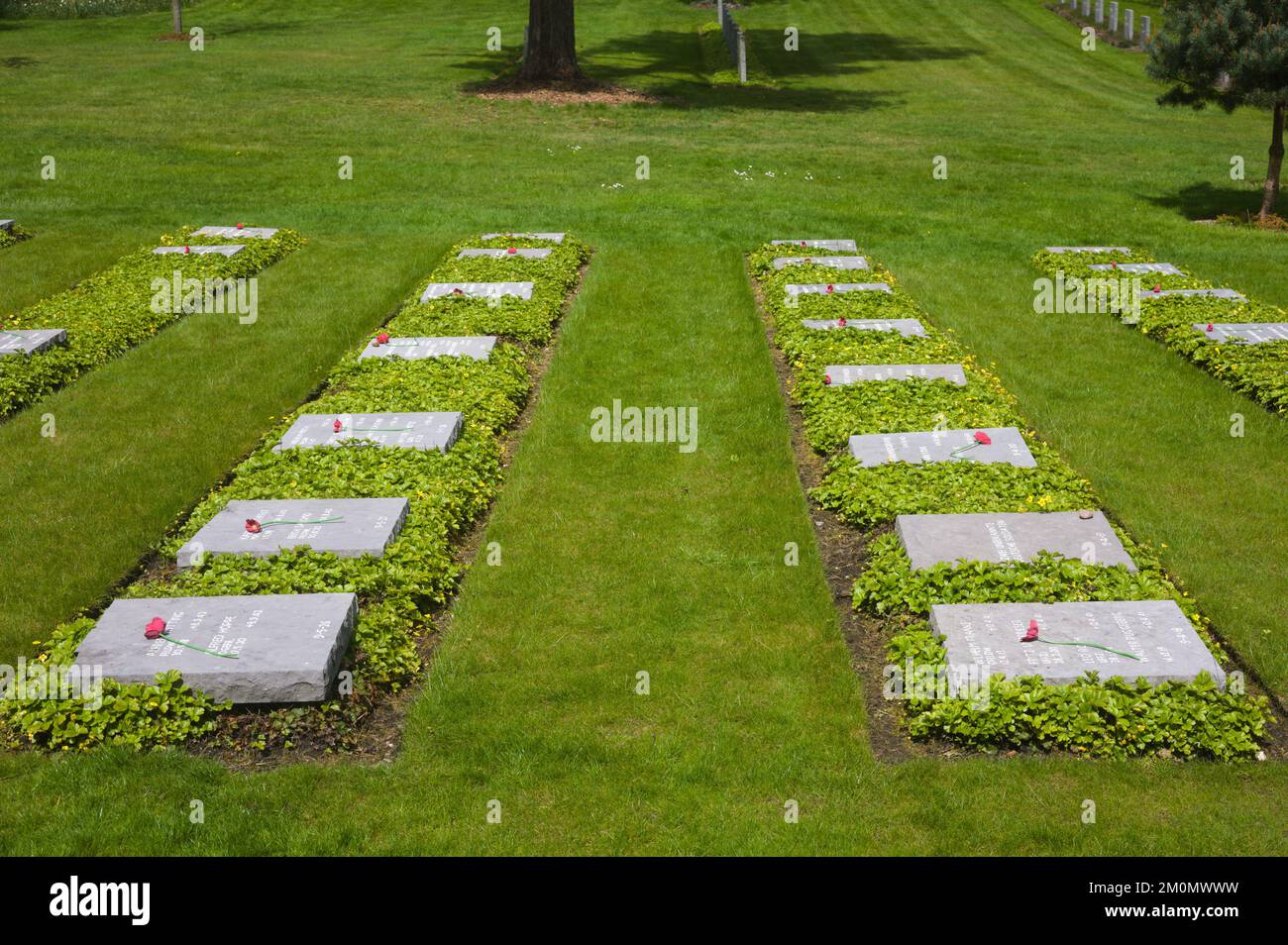 Rows of flat horizontal WWII graves at Cannock Chase Gerrman Military ...