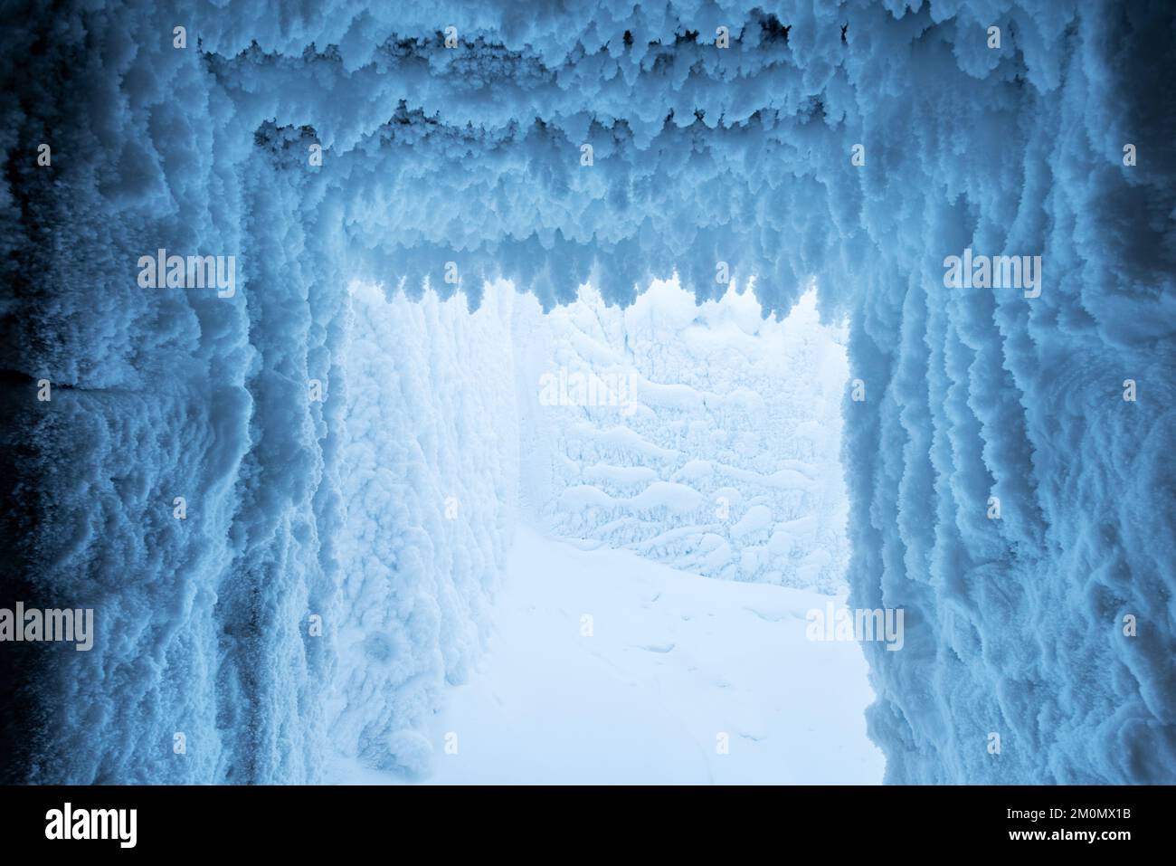 Winter Christmas background of frozen snow growths on the ceiling and ...