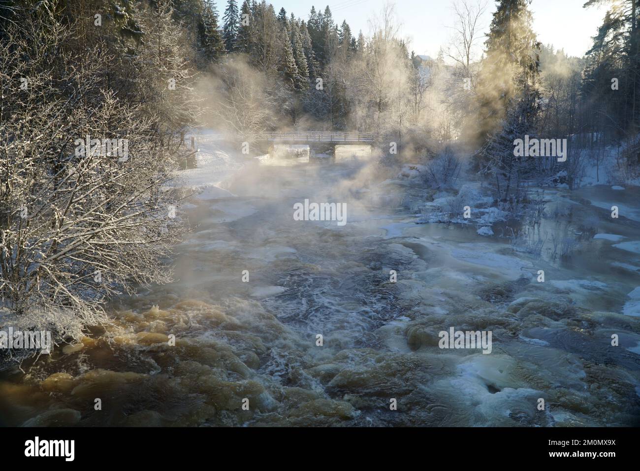 A rocky river covered by fog and snow in a forest during winter Stock ...
