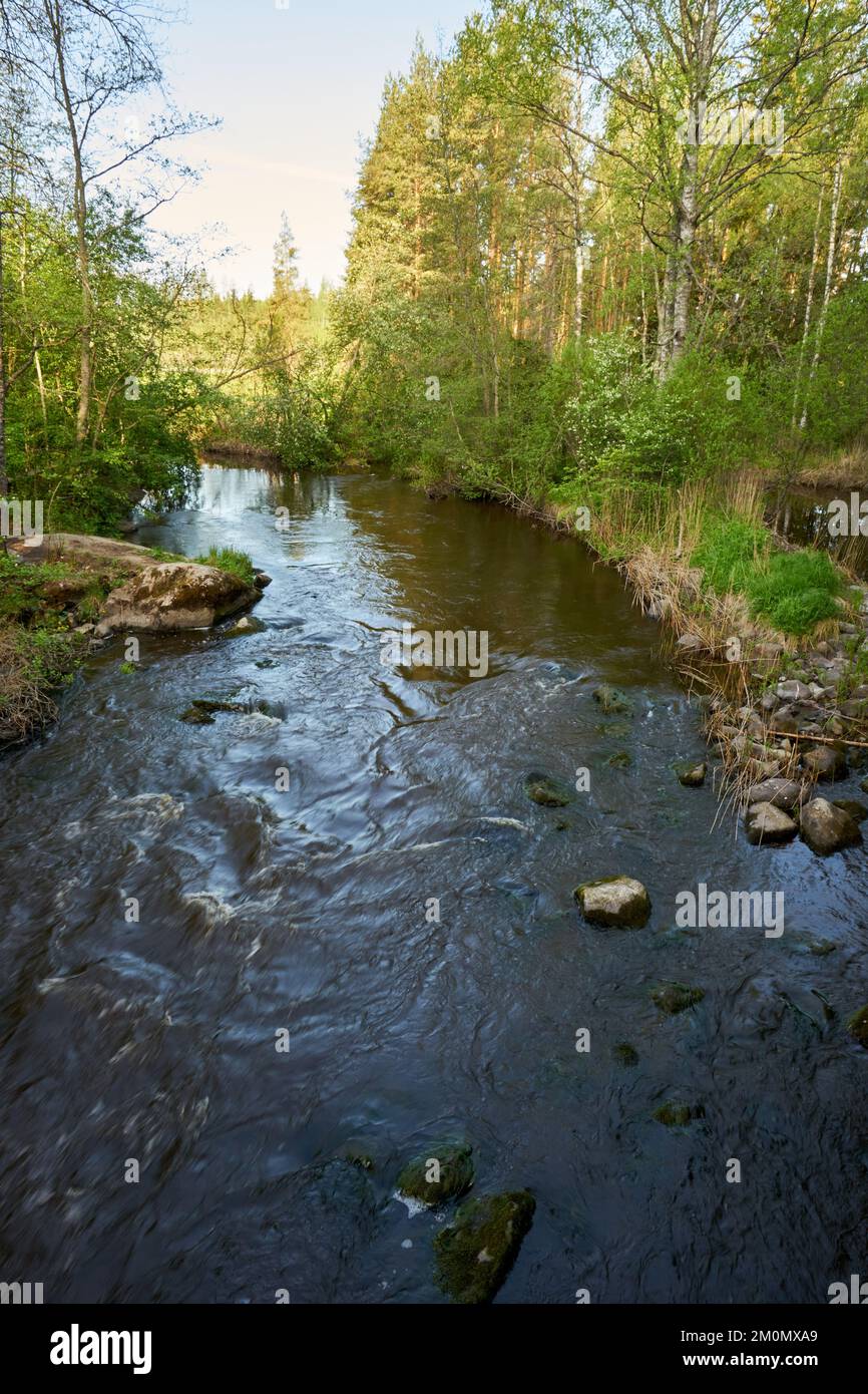 A vertical shot of a rocky river surrounded by vegetation Stock Photo ...