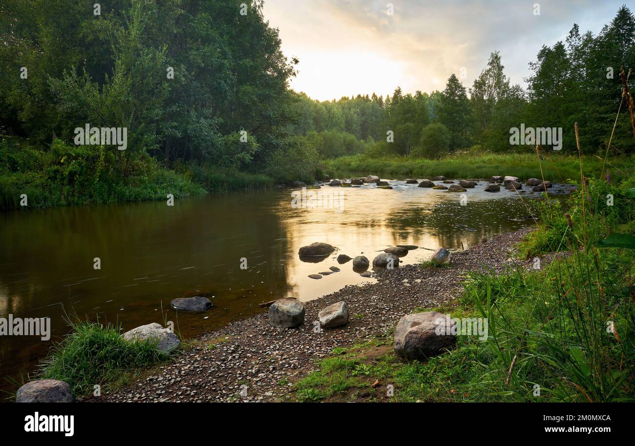 A scenic shot of a rocky river surrounded by vegetation under a cloudy ...