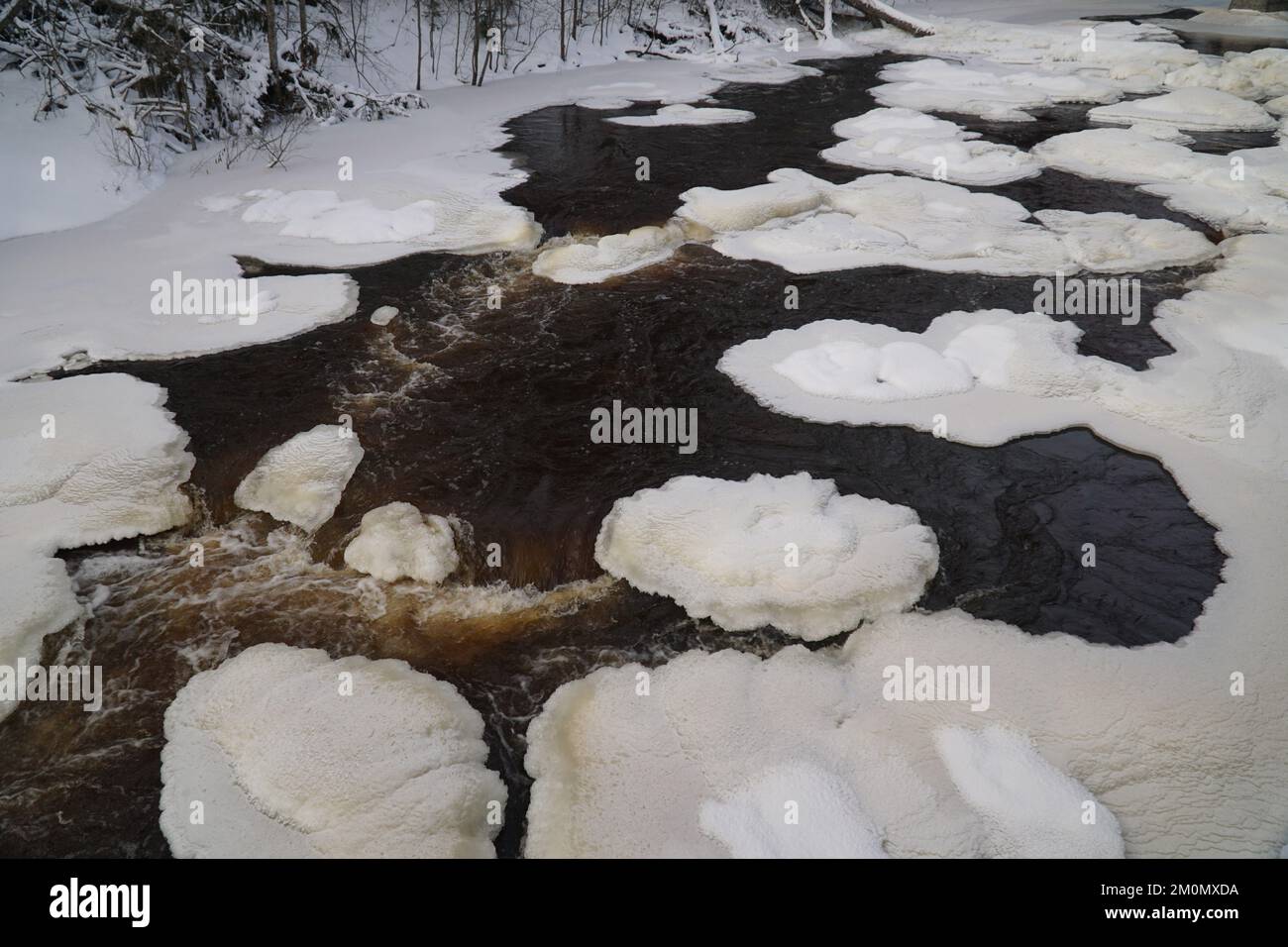 A closeup of a river that is slightly frozen in the middle of a forest ...