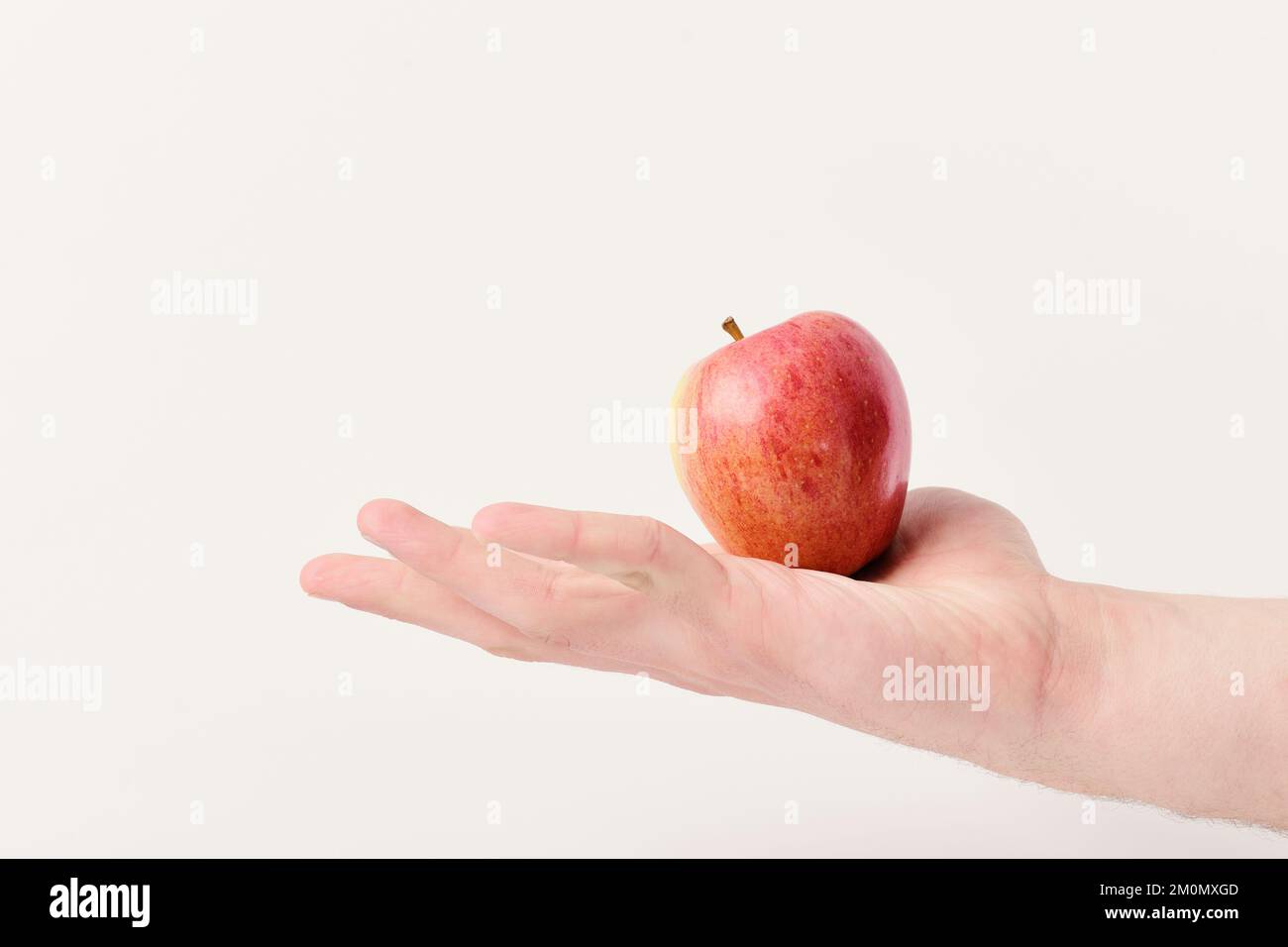 Male hand holds light red apple. Apple in juicy color Stock Photo - Alamy