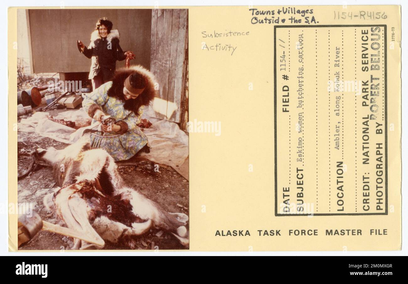Eskimo women butchering caribou. Alaska Task Force Photographs Stock ...