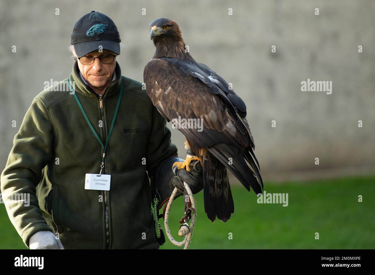 2020 scottish legislation falconry in scotland hi-res stock photography ...