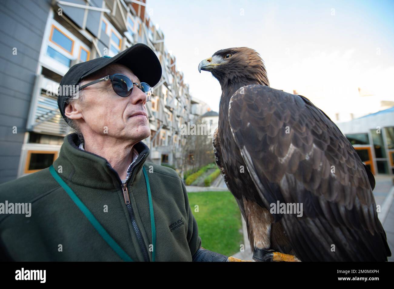 2020 scottish legislation falconry in scotland hi-res stock photography ...